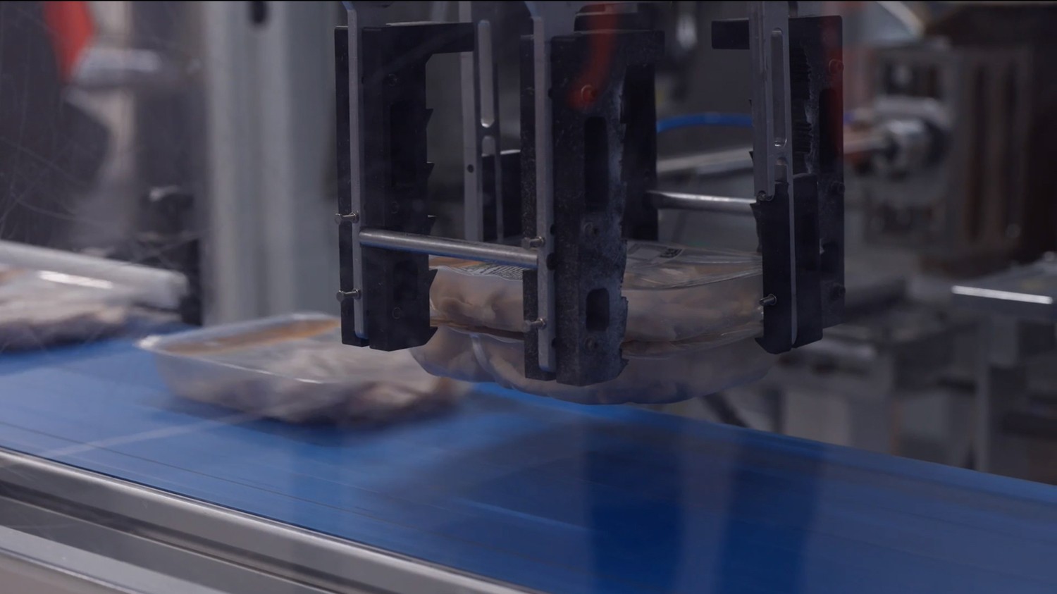 Collaborative project brings automation to poultry packing | Packaging Scotland